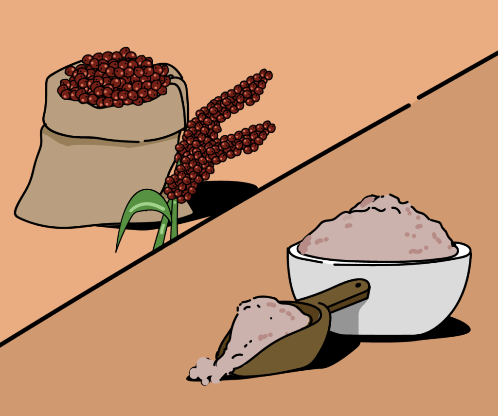 A beginner's guide to millets - The Whole Truth