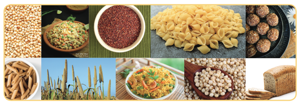 A beginner's guide to millets - The Whole Truth