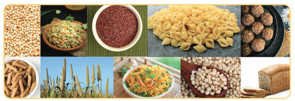 A beginner's guide to millets - The Whole Truth