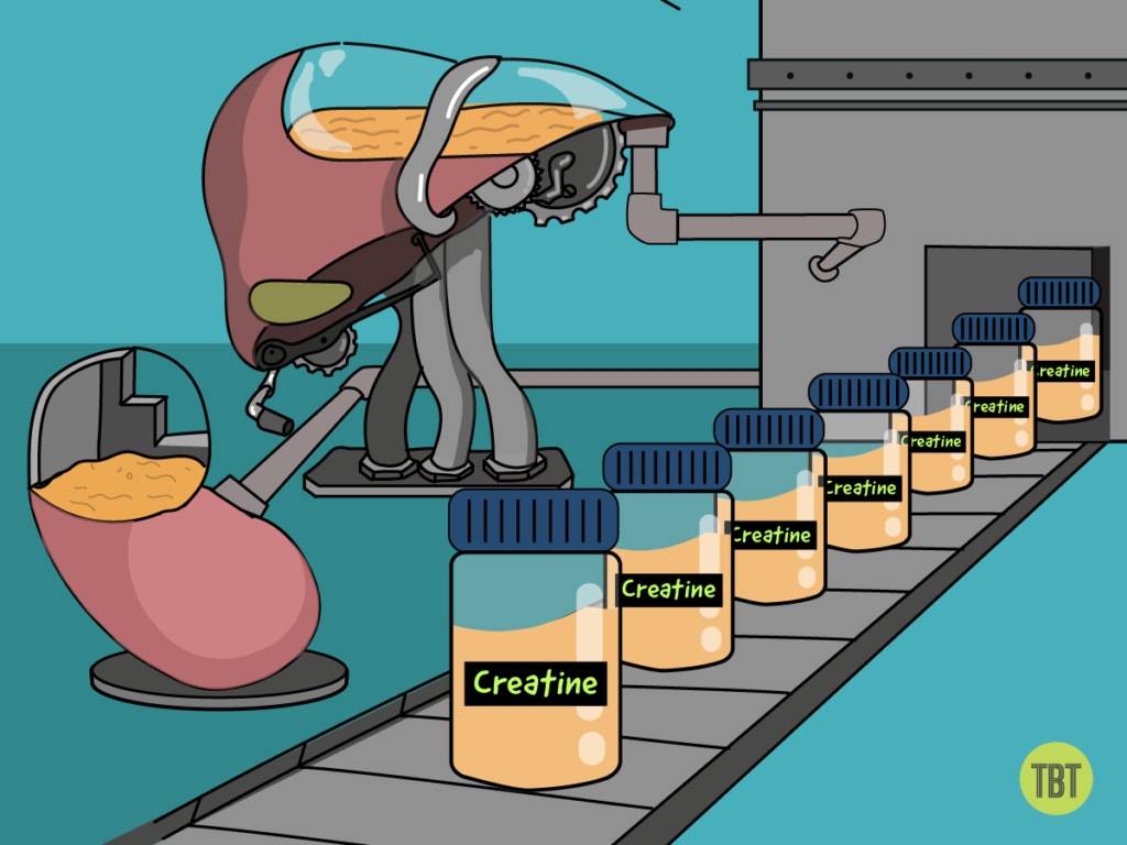 What is creatine and what does it do? - The Whole Truth